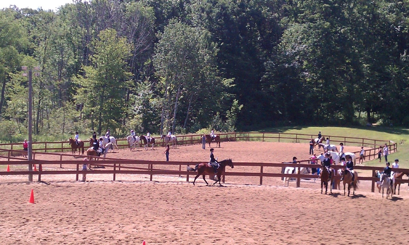 Shows – Oakland County Horse Shows